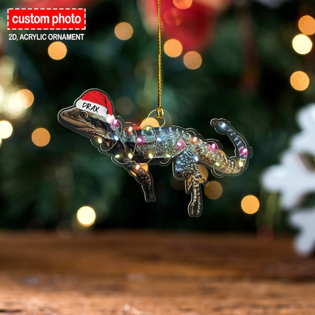Lizards Custom Photo 2D Ornament Lizards Lover Gift - Etsy