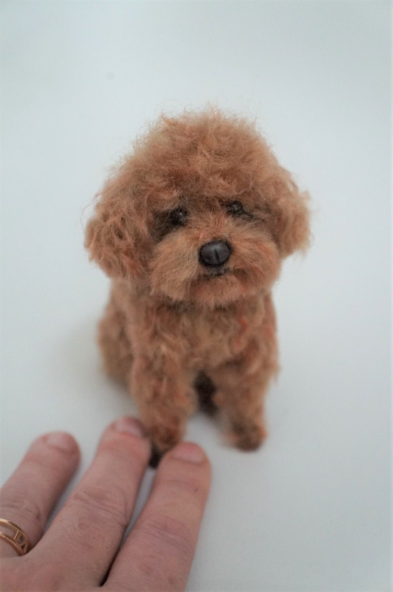 Commission Needle Felted Toy Poodle Cockapoo GoldenDoodle | Etsy