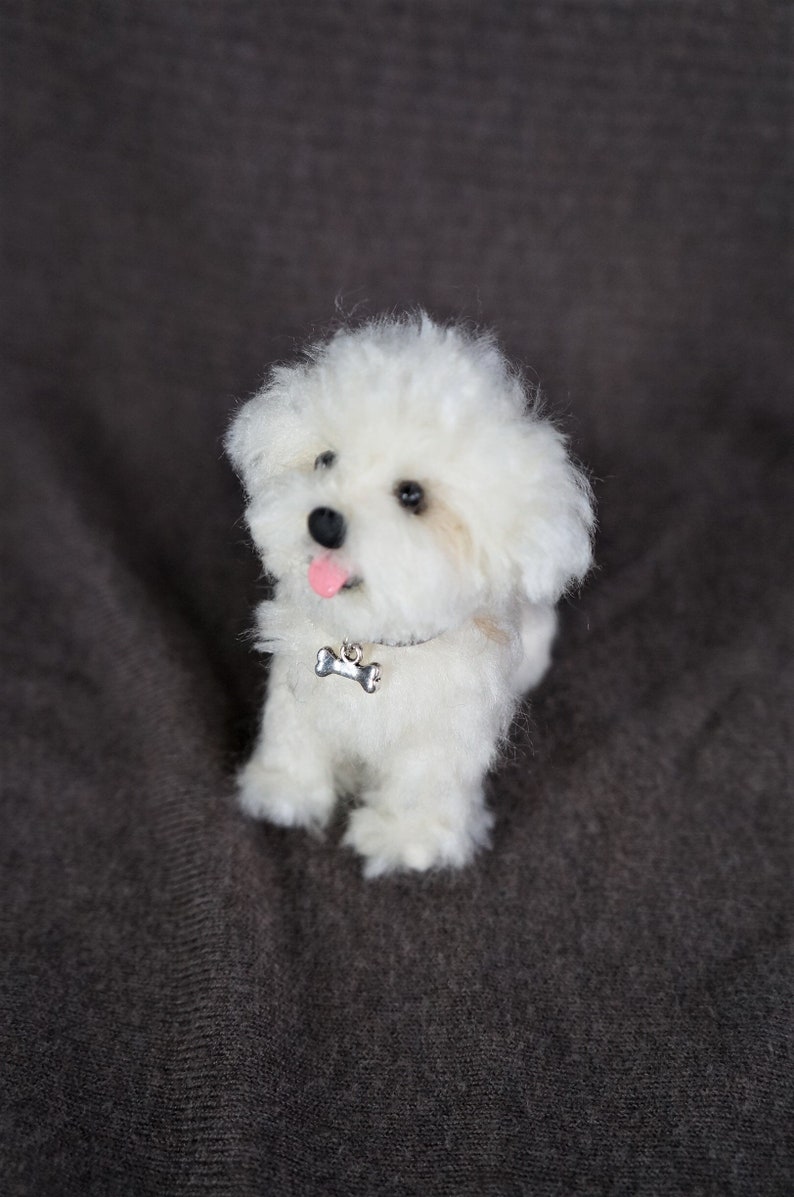 Needle Felted Maltese Dog Wool Maltipoo Bichon Puppy Felt - Etsy