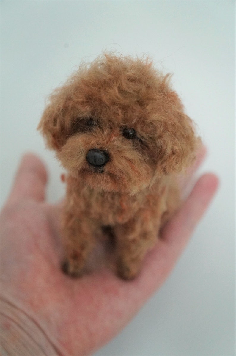 Commission Needle Felted Toy Poodle Cockapoo GoldenDoodle | Etsy