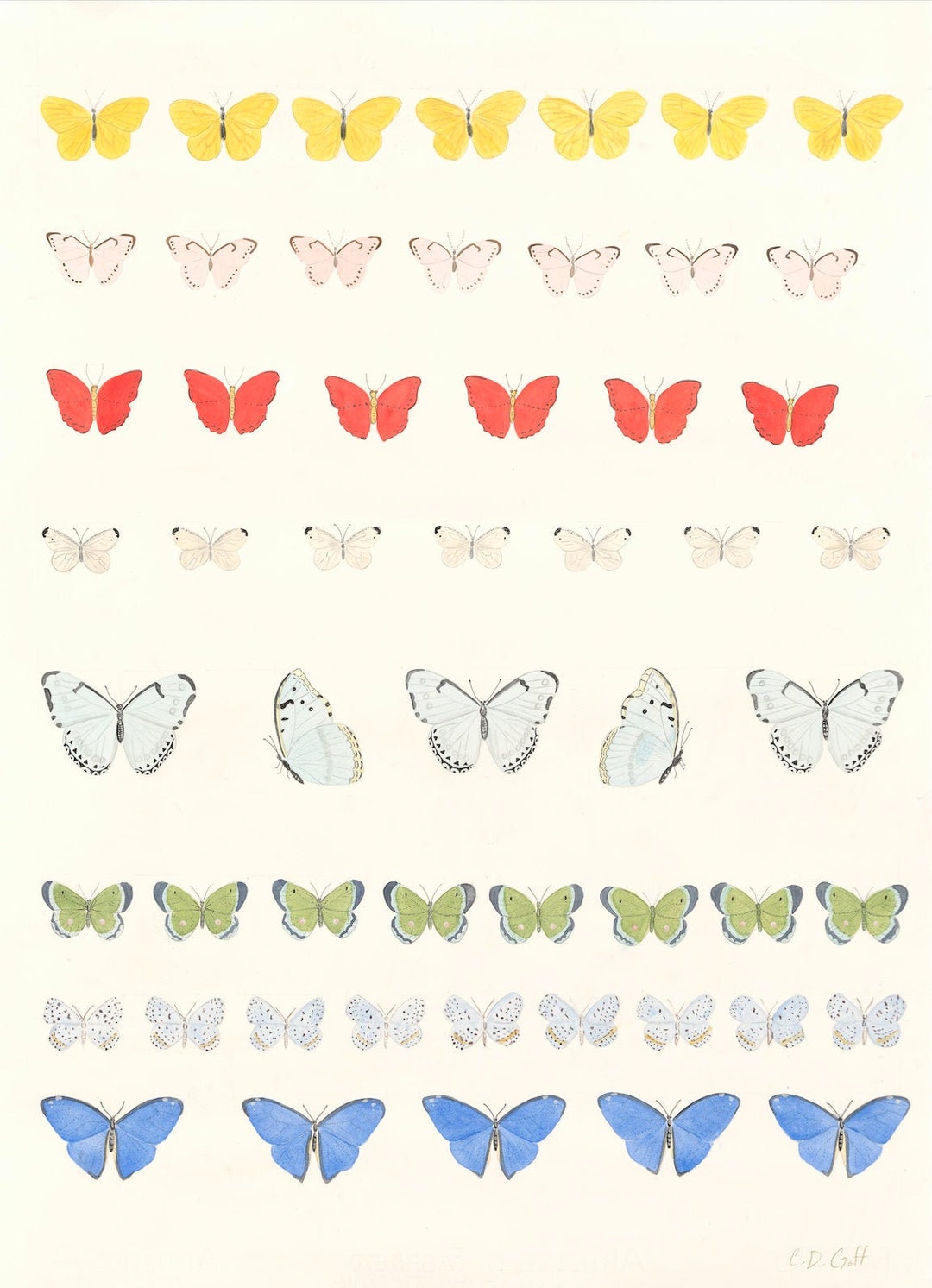 Butterfly Pattern Bright Colors - Etsy