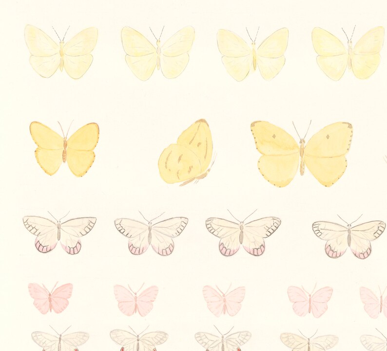 Butterfly Pattern Primary Colors - Etsy