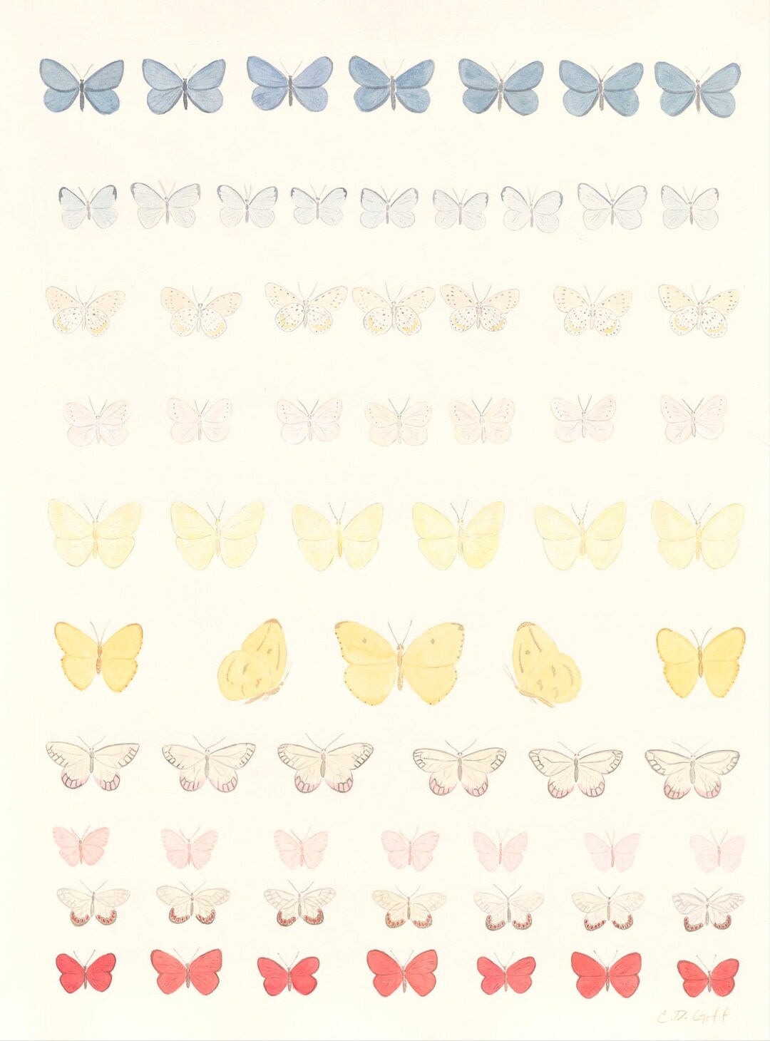 Butterfly Pattern Primary Colors - Etsy