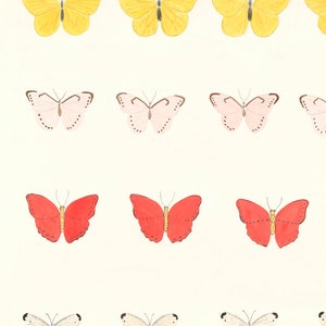 Butterfly Pattern Bright Colors - Etsy