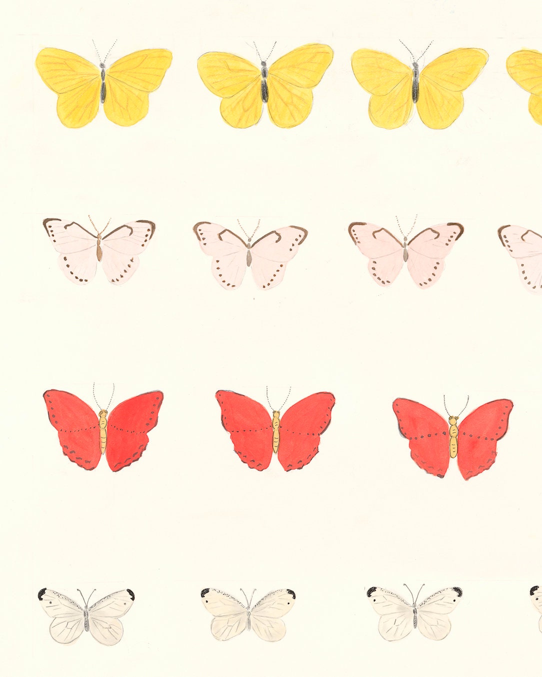 Butterfly Pattern Bright Colors - Etsy