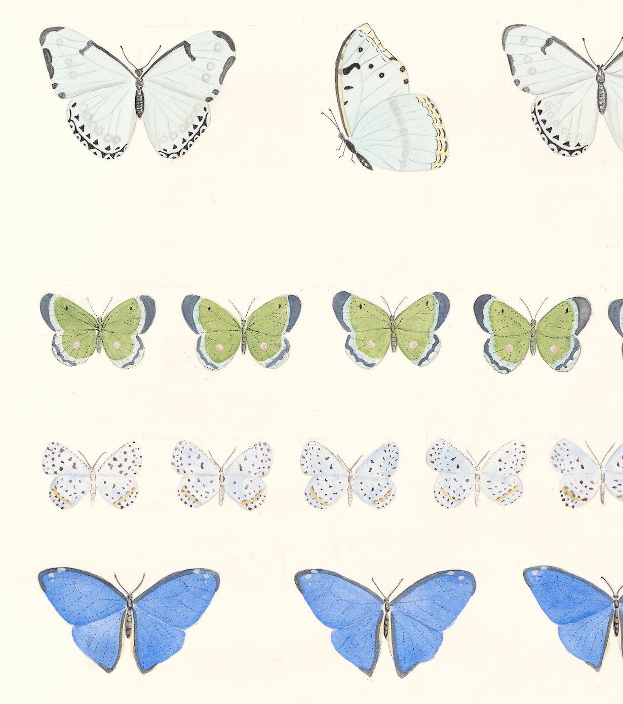 Butterfly Pattern Bright Colors - Etsy