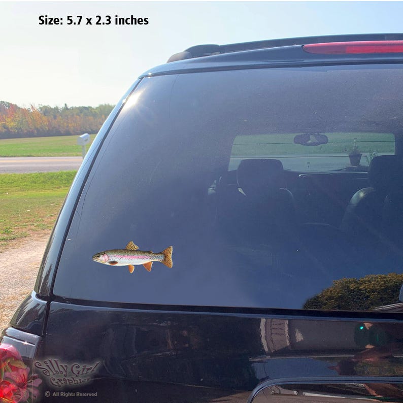 RAINBOW TROUT Decal, Waterproof Fish Sticker, Steelhead, Redband, Car ...
