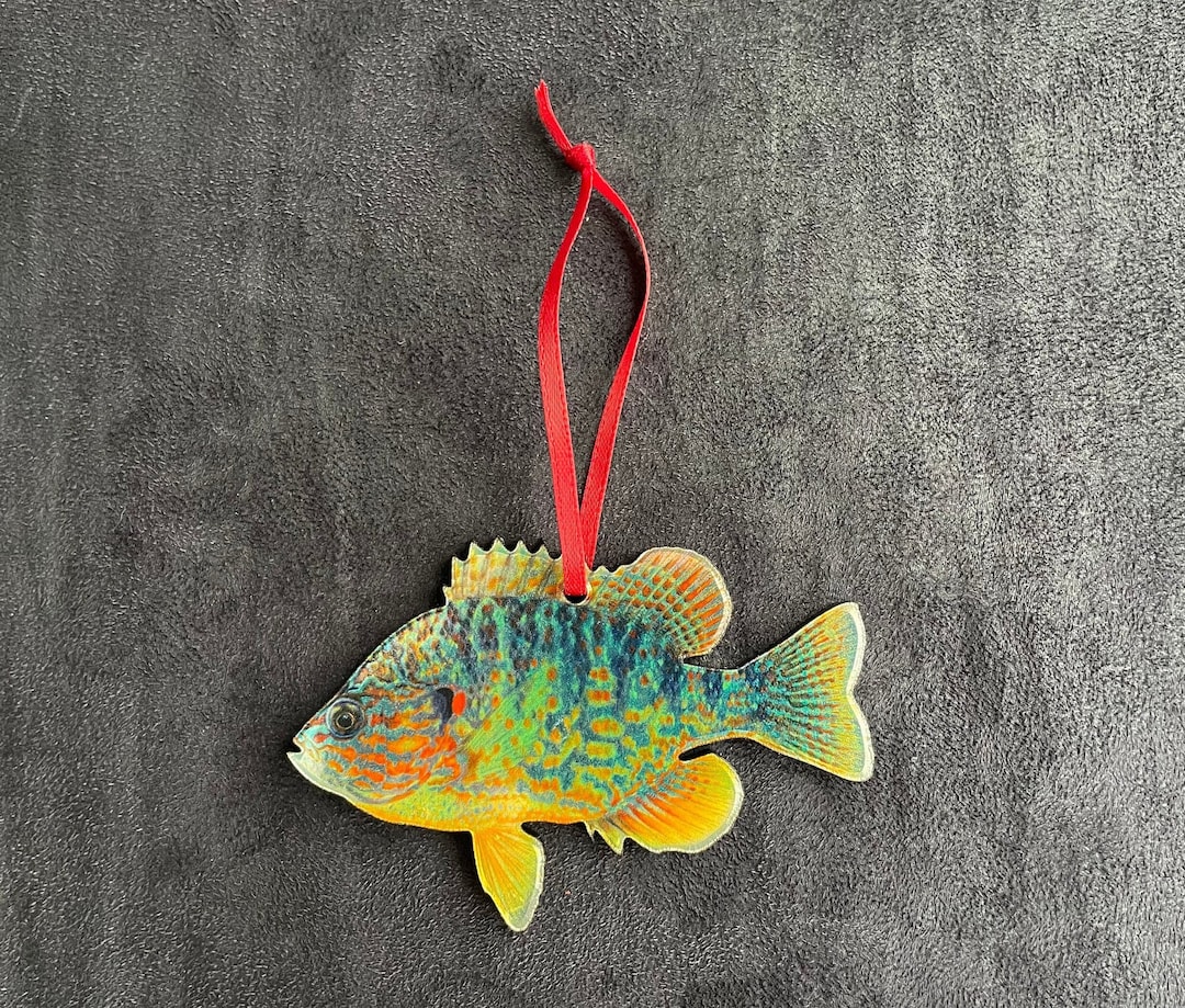 PUMPKINSEED Acrylic Christmas Fish Ornament | BLUEGILL SUNFISH | Fly ...