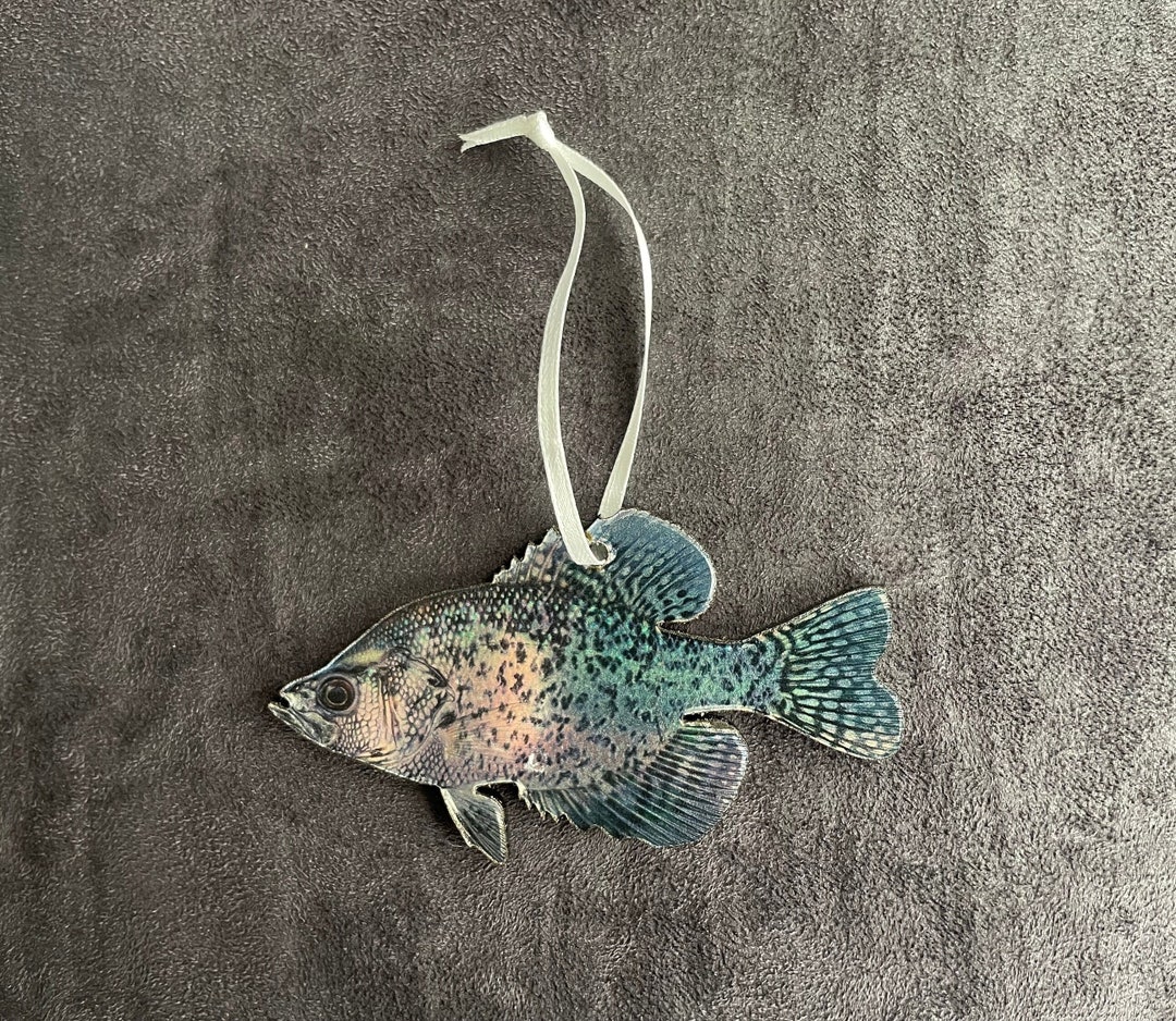 BLACK CRAPPIE Acrylic Christmas Fish Ornament | SUNFISH | Fly Fishing ...