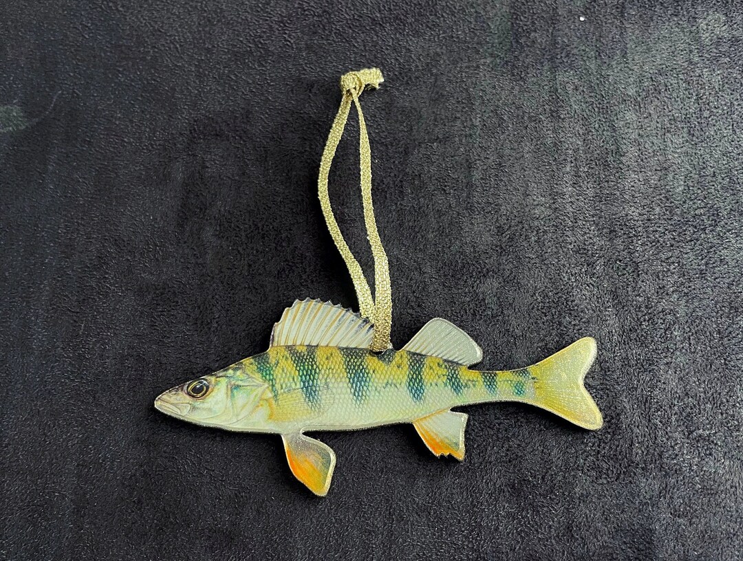 YELLOW PERCH Acrylic Christmas Fish Ornament | Fly Fishing | Fisherman ...