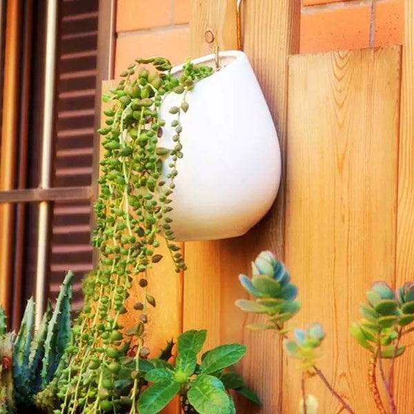 Ceramic Hanging Planter - Etsy