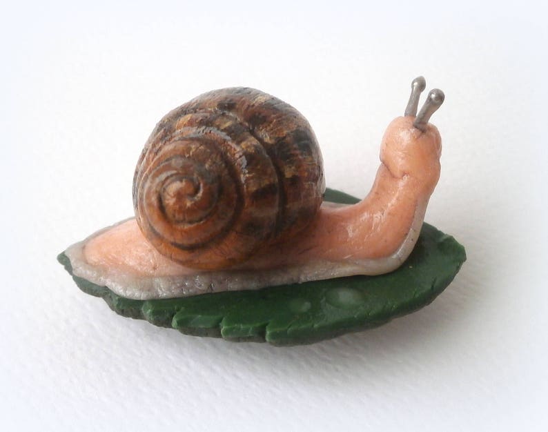Clay Snail Brooch Realistic Snail Sculpture on Leaf Polymer - Etsy