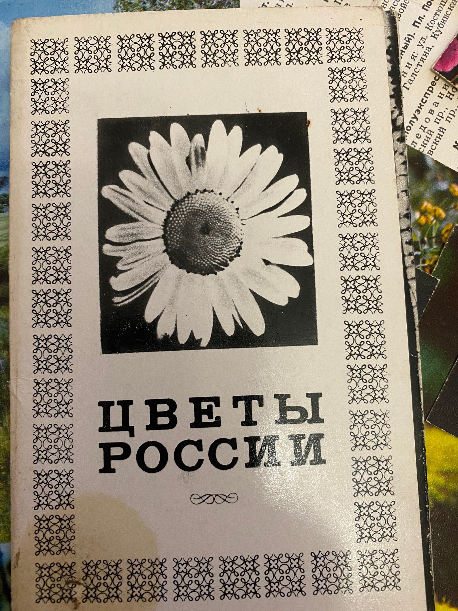 Flowers of Russia set of Vintage Postcards Depicting Rare - Etsy