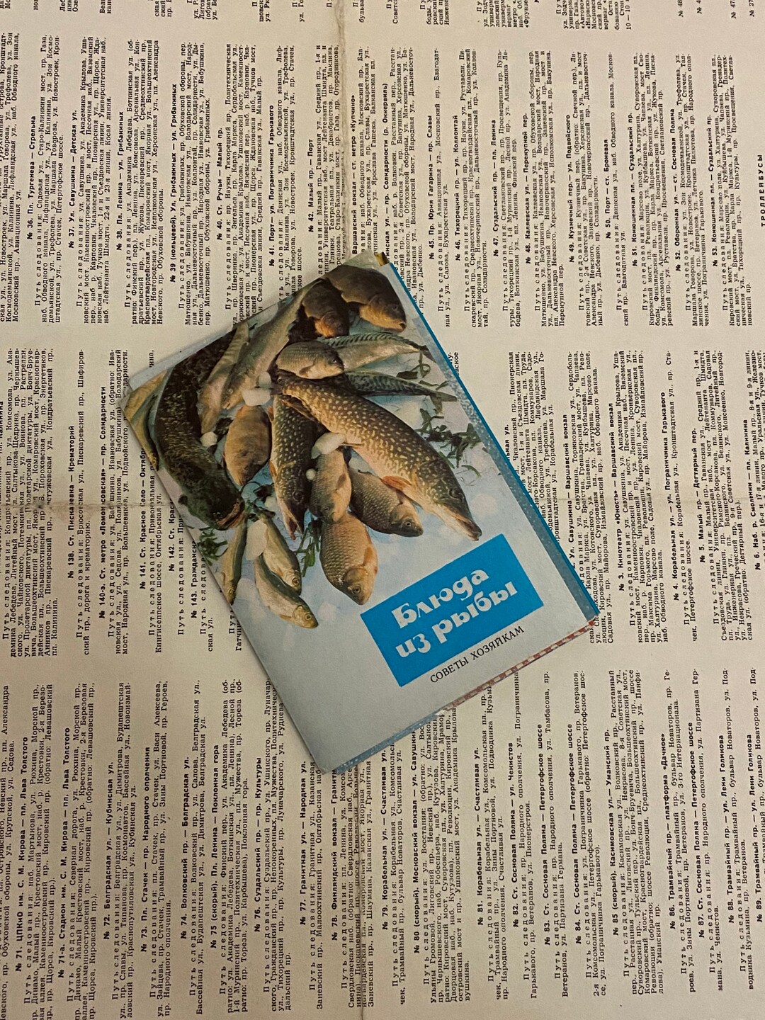 Vintage Soviet Fish Recipe Postcards, USSR Era, 1990s - Etsy