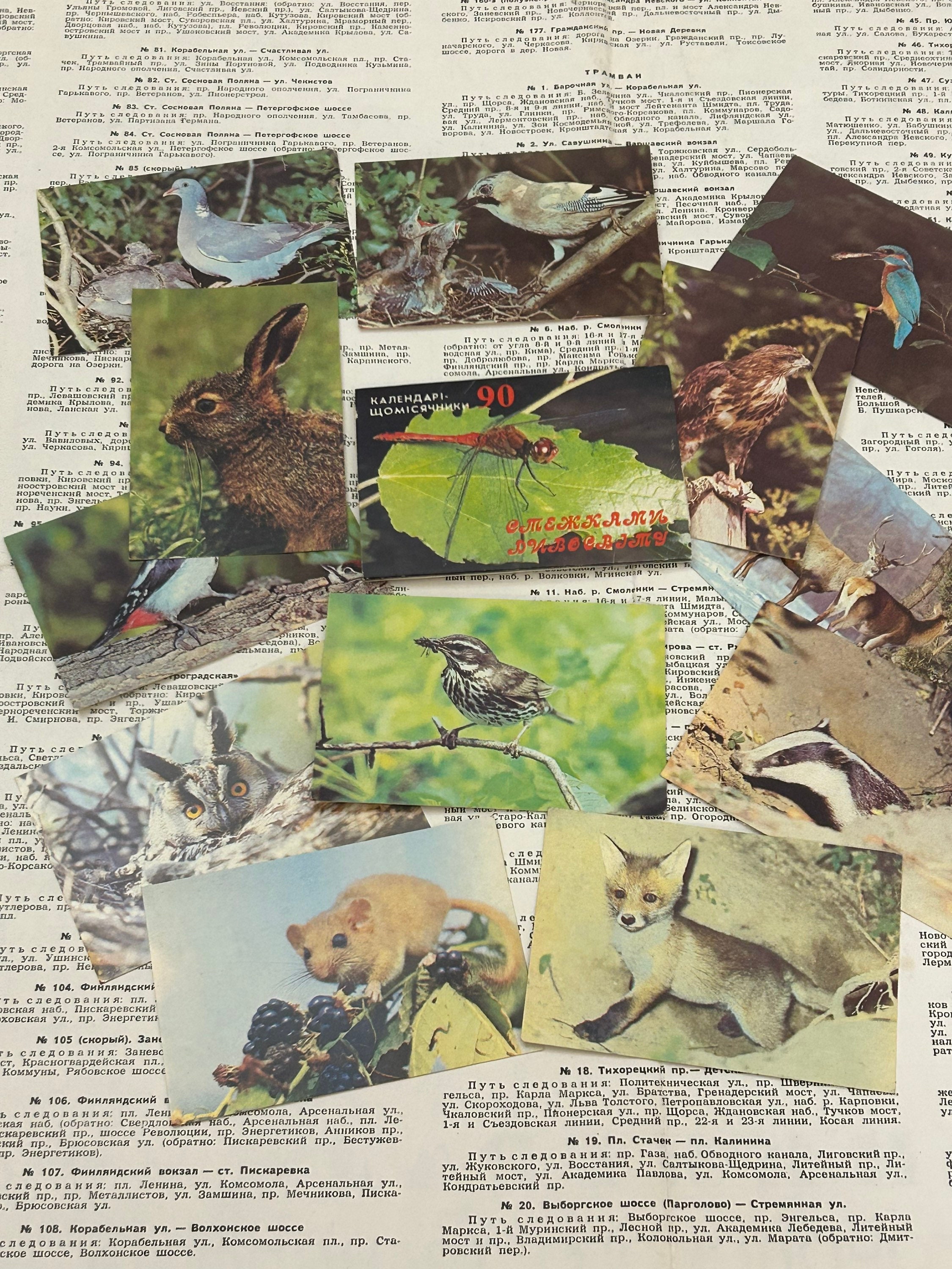 Ukrainian Pocket Calendars With Animal Birds and Insects 1990 - Etsy