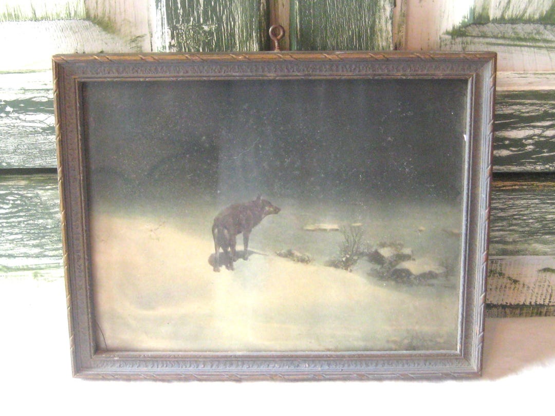 Antique Petite Framed Print of Wolf on Hillside Overlooking Town in ...