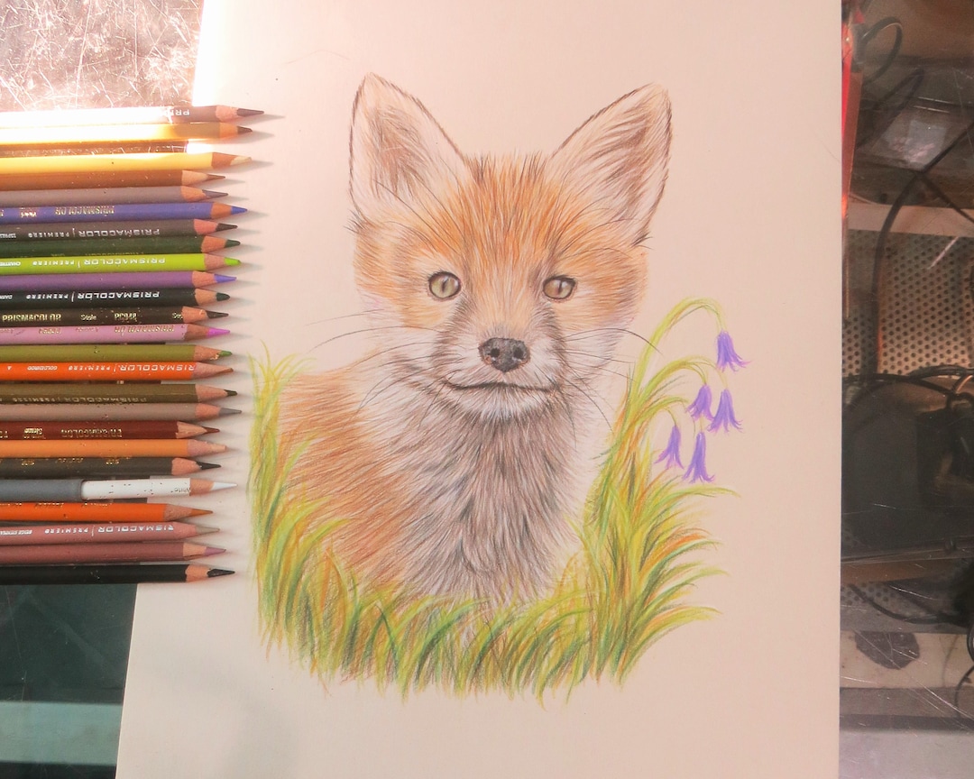 Fox Cub Drawing, Fox Art , Cute Fox Penting , Fox Hand Painted With ...