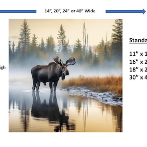 Wilderness Moose Print Canvas Wall Art of a Tranquil Forest Scene ...