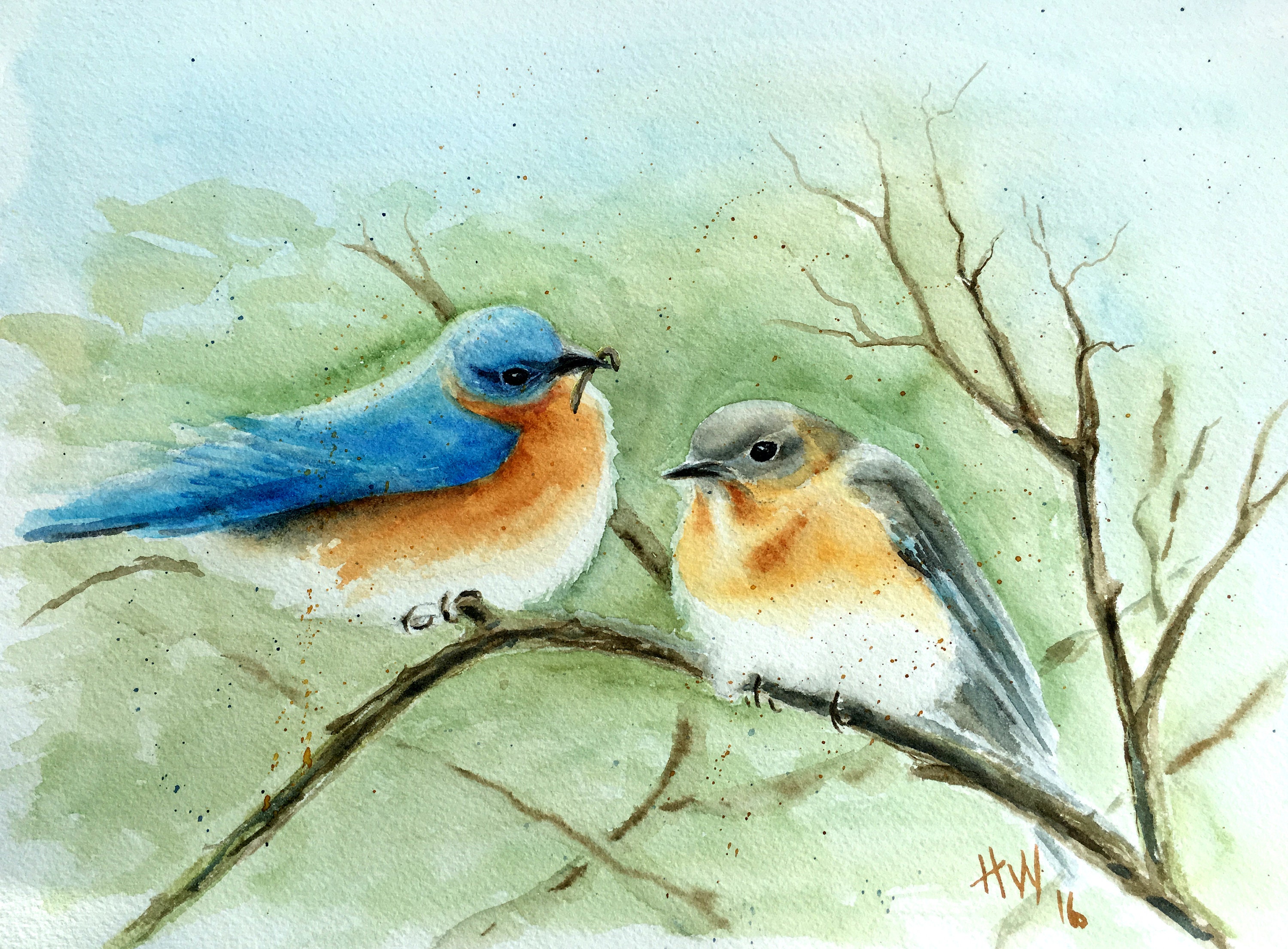 Blue Bird Couple, Bluebirds, Blue Birds, Bird Painting, Bird With Worm ...