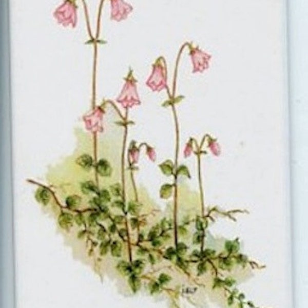 Linnea Flower - Etsy