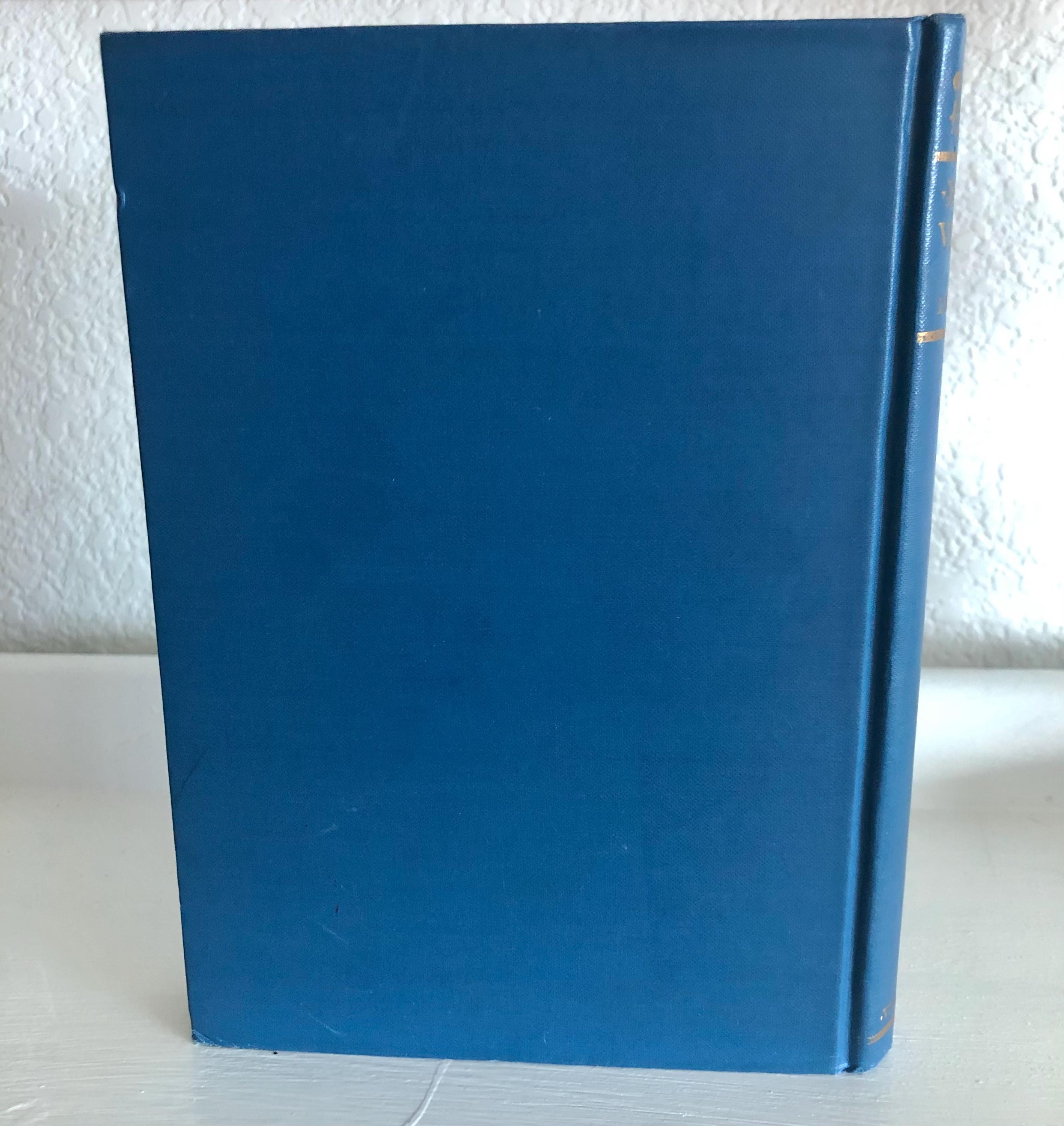 Antique MOUNT VERNON Children Romances Allies and Mansions by Minnie ...