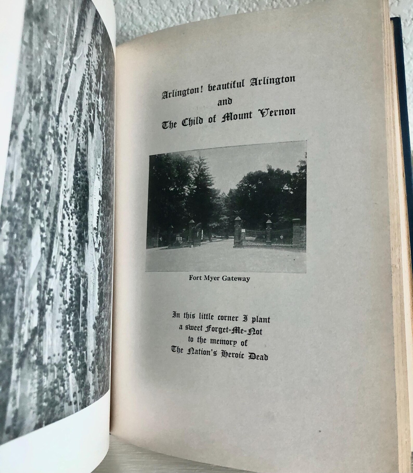 Antique MOUNT VERNON Children Romances Allies and Mansions by Minnie ...