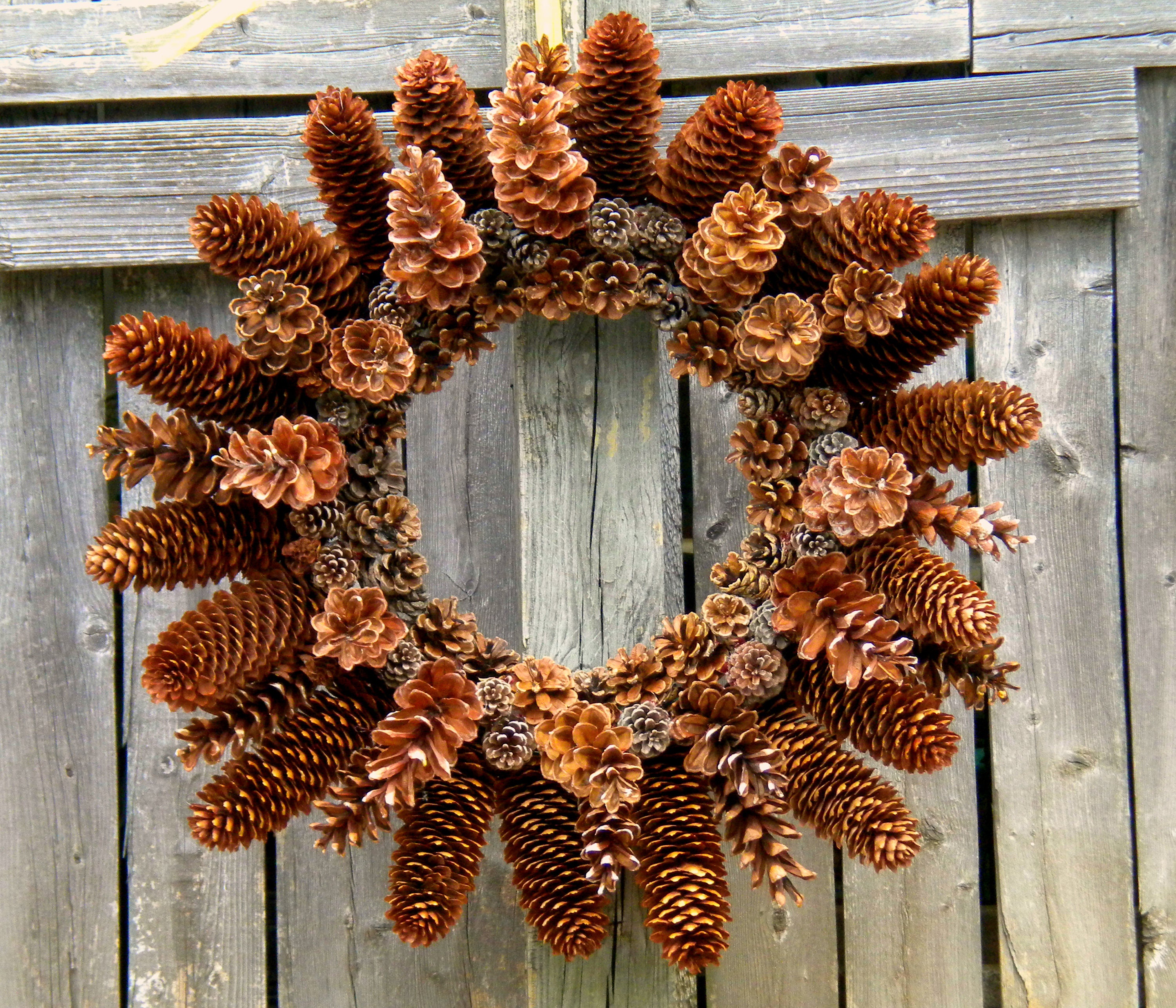 Pine Cone Wreath 18, NJ Pine Cone Wreath, Christmas Wreath, Holiday ... Pine Cone Wreath 18, NJ Pine Cone Wreath, Christmas Wreath, Holiday ...