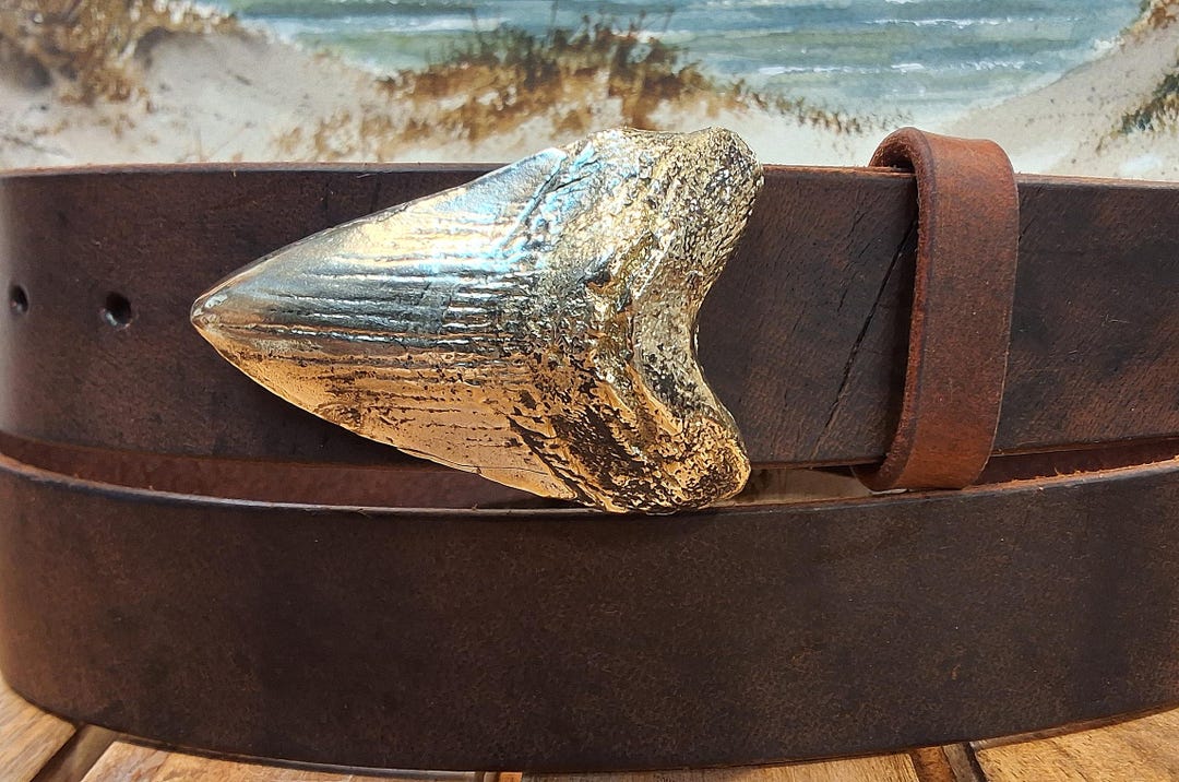 Megalodon Giant Mackerel Shark Tooth Fossil Buckle - Etsy