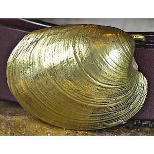 Quahog Shell Buckle - Etsy
