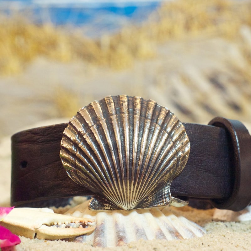 Seashell Belt - Etsy