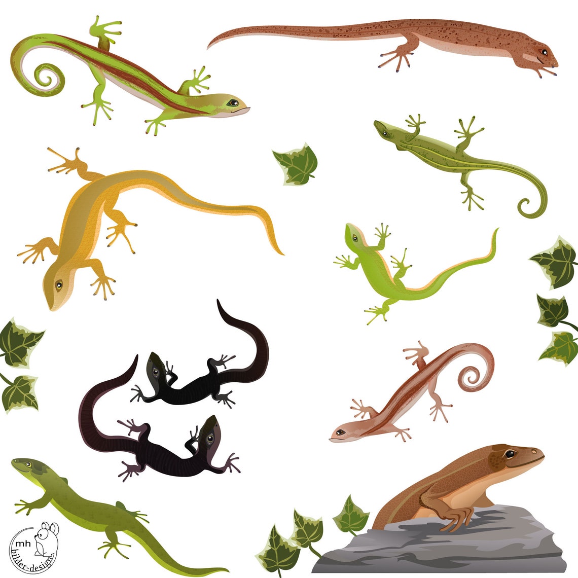 Wall Sticker "lizards" Children's Room Youth Room Jungle Lizard - Etsy
