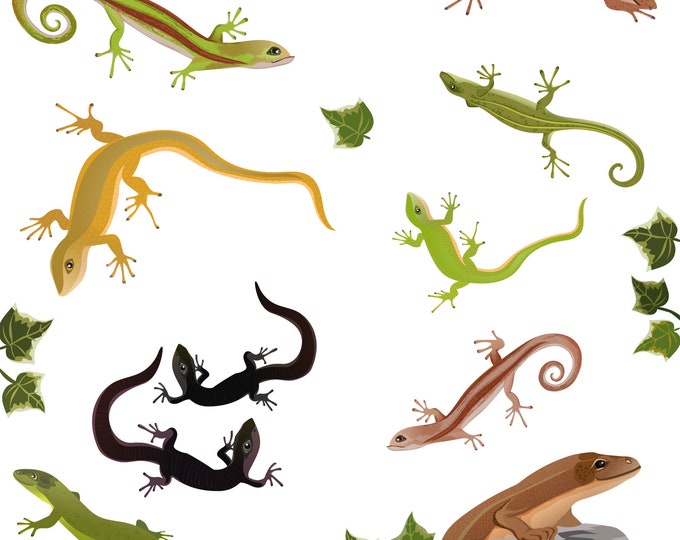 Wall Decal lizard Door Sign Boy Room - Etsy