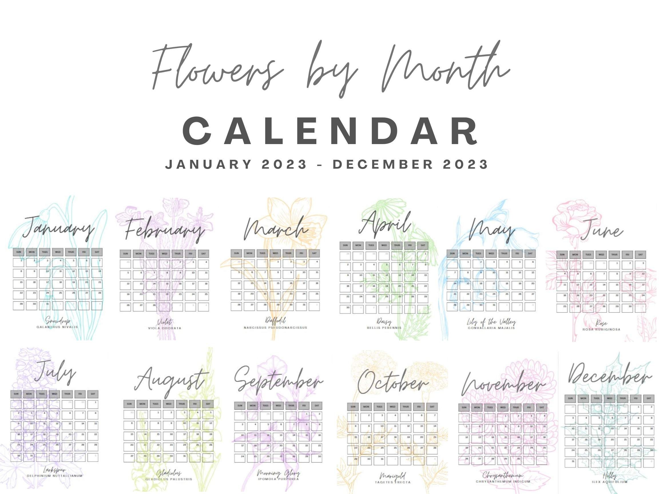 2023 Flowers by Month - PRINTABLE CALENDAR - Etsy