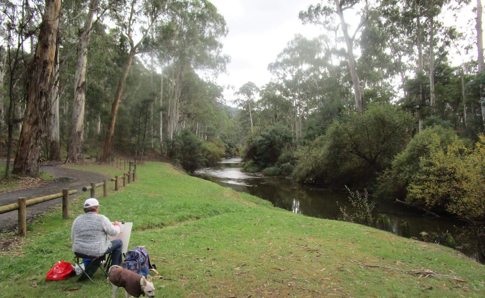 Buckland River Buckland Valley Australian Made Australian Paintings ...