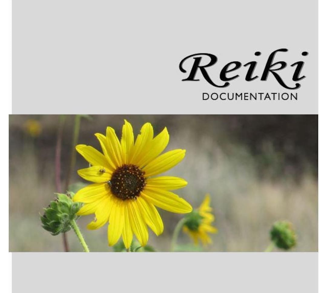 Reiki Documentation Fillable & Printable PDF for Reiki Practitioners ...