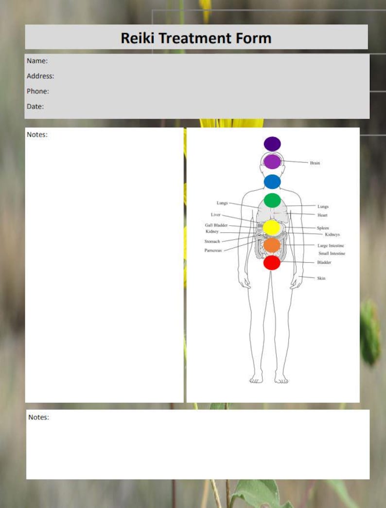 Reiki Documentation Fillable & Printable PDF for Reiki Practitioners ...