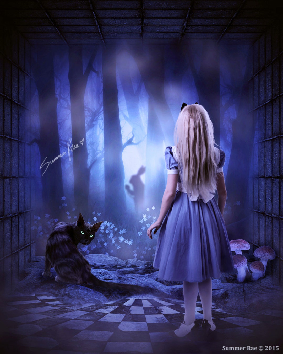 Alice in Wonderland, Cheshire Cat, White Rabbit, Fan Art, Fantasy Art ...