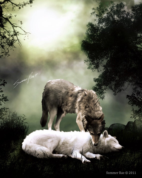 Beautiful Wolves In Love
