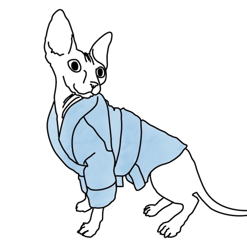 Sphinx Cat Costume - Etsy UK