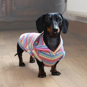 Dachshund Clothes Sewing Pattern BUNDLE Pajamas for Sausage Dog ...