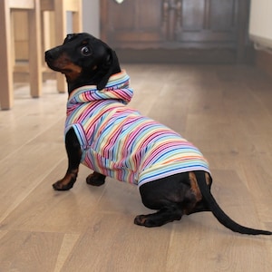 Dachshund Clothes Sewing Pattern Bundle PDF – Dog Pajamas, Shirt ...