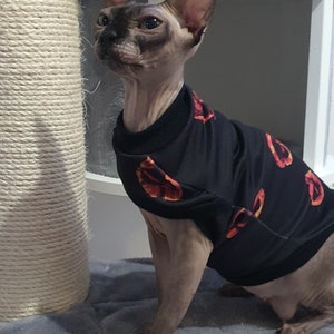 Sphynx Clothes Cat Sweater Cat Sewing Pattern Sphynx Kitten Clothes ...