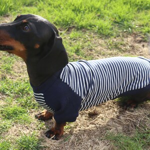 Dachshund Clothes Sewing Pattern Bundle PDF – Dog Pajamas, Shirt ...