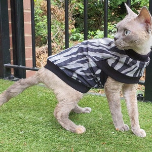 Sphynx Clothes Cat Sweater Cat Sewing Pattern Sphynx Kitten Clothes ...