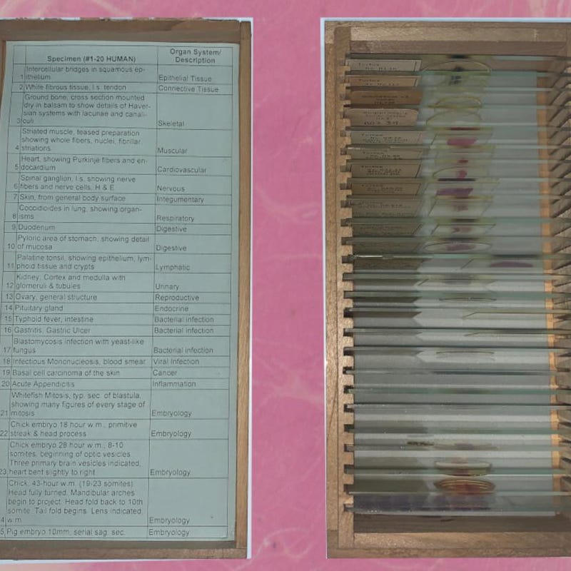 Microscope Slides - Etsy