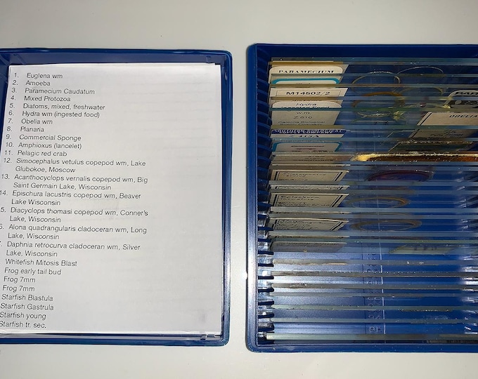 Marine Life Microscope Slide Set AQUATIC Sea STUDY Embryology Prepared ...
