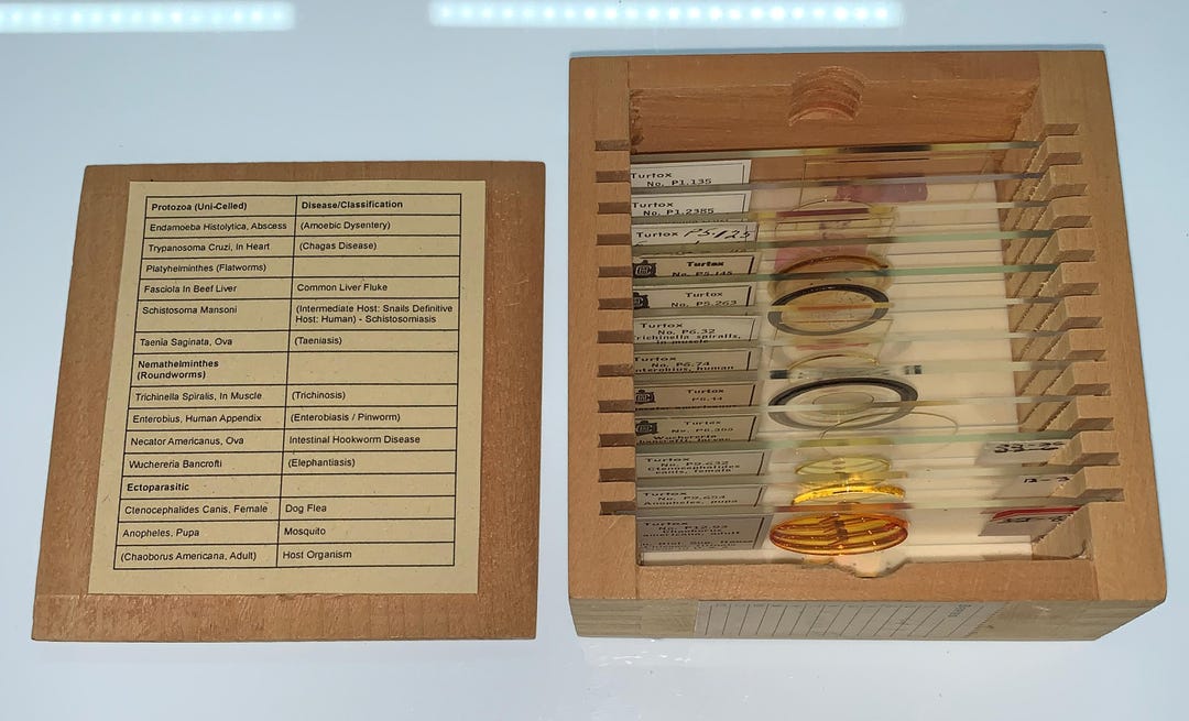 PARASITE Turtox Vintage Microscope Slide Set WHOLE MOUNTS Parasitology ...