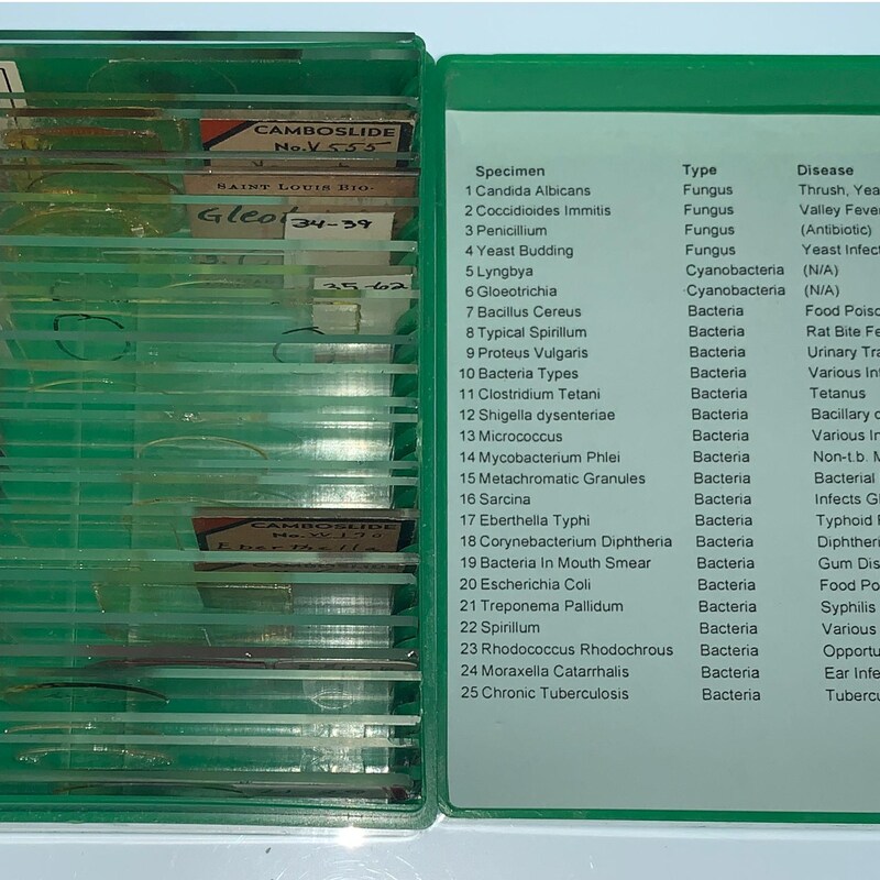 Microscope Slides - Etsy