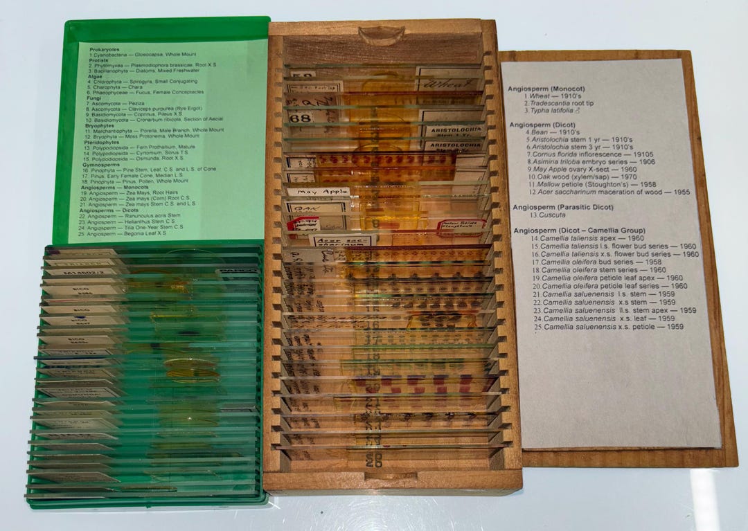 BOTANY Microscope Slide Set of 50 Study Darwin’s Mystery Angiosperms ...