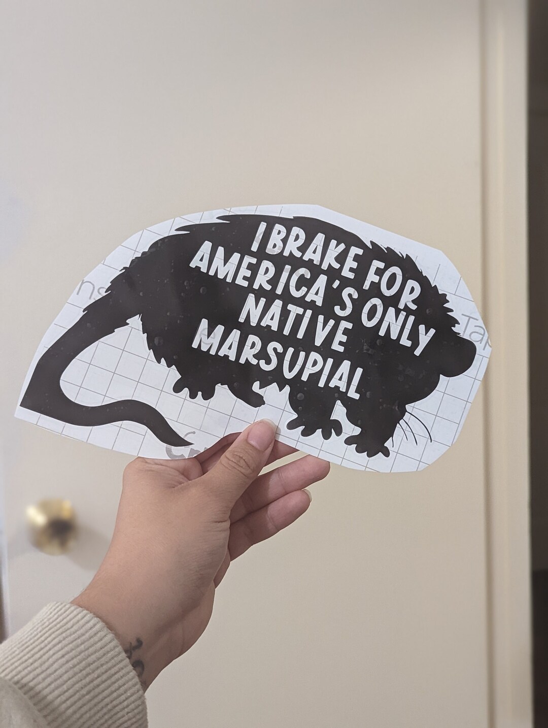 Possum Decal Opossum Marsupial Sticker - Etsy